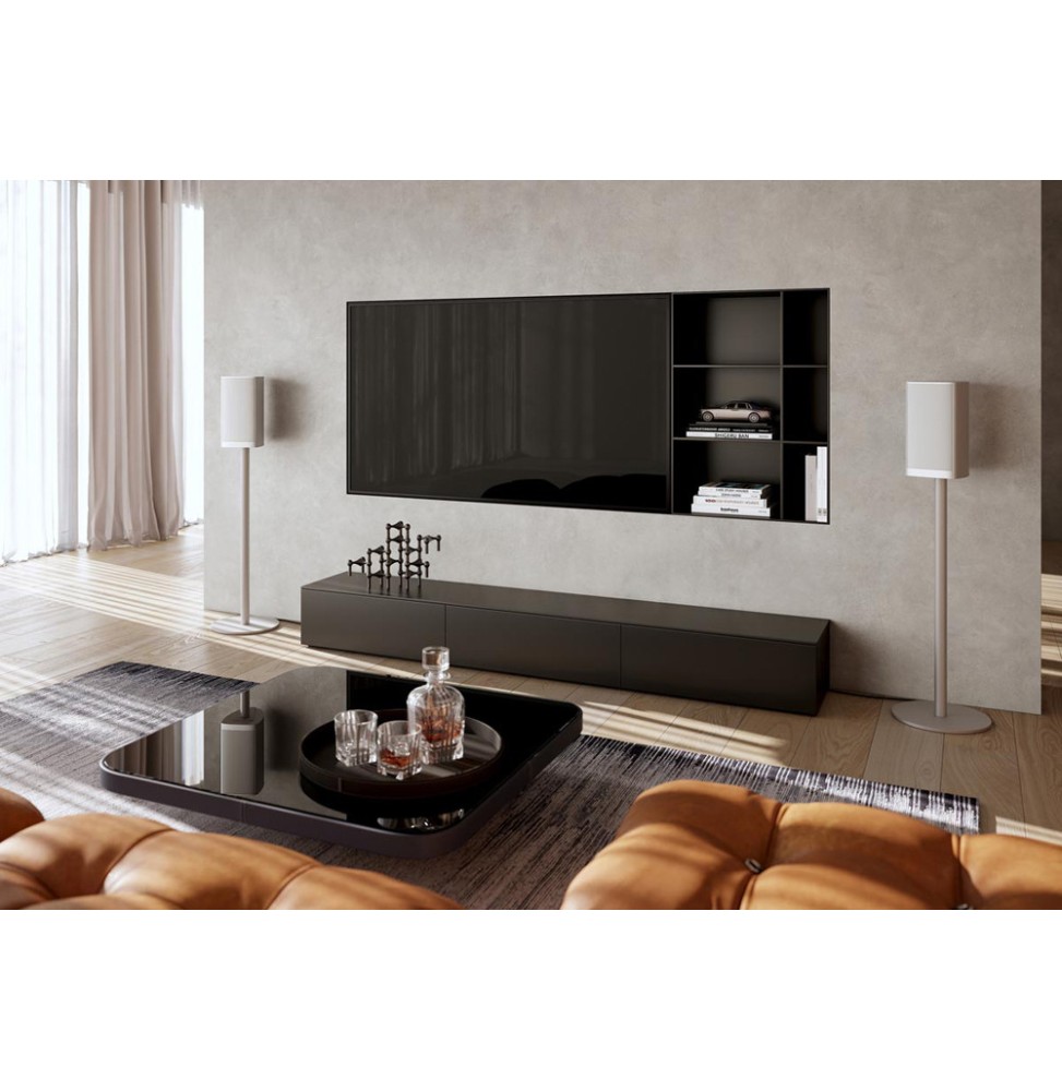 Der passende Ständer für Ihre PIEGA Premium 301 Gen2 Lautsprecher.| zu ...