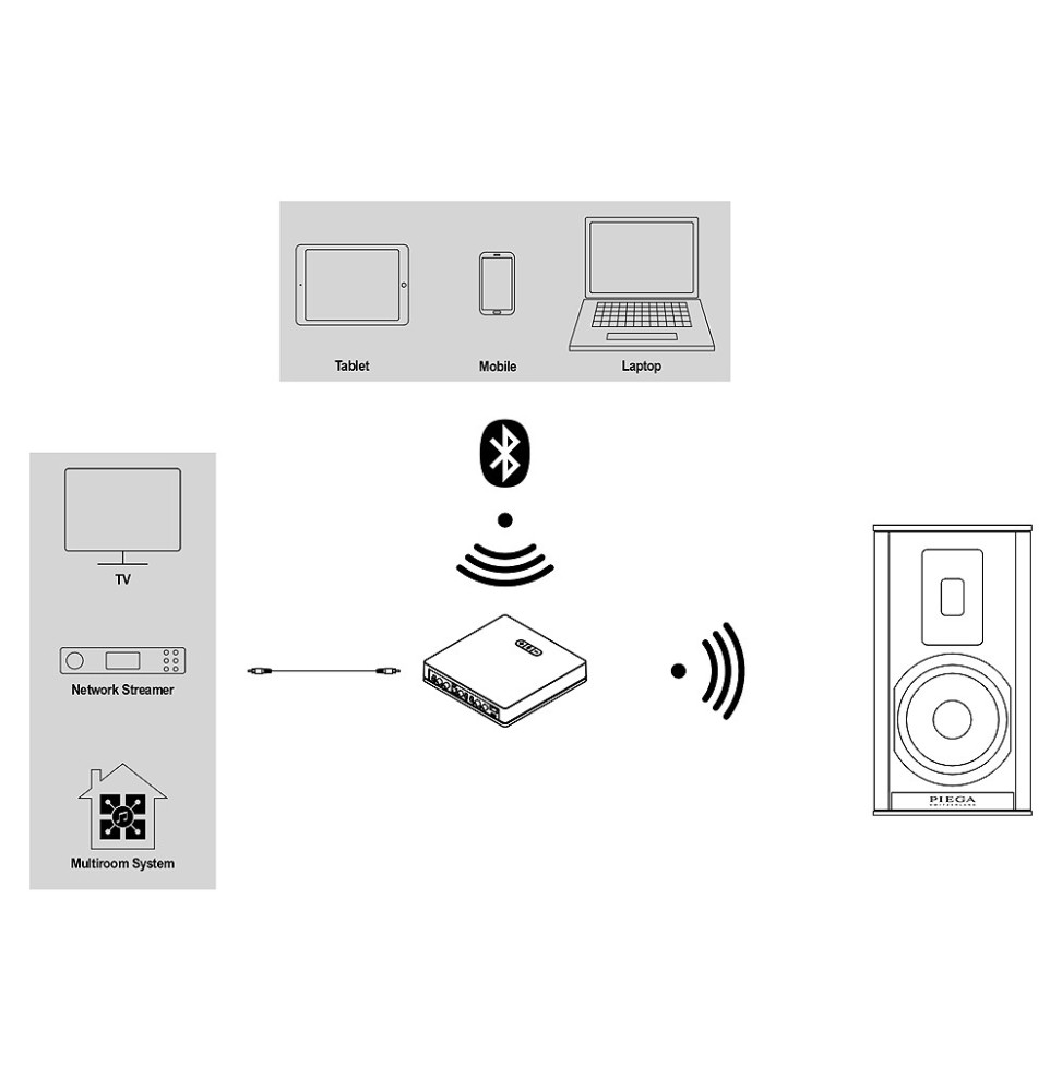 Der Connect von PIEGA für die Premium Wireless-Serie | zu kaufen in Zürich