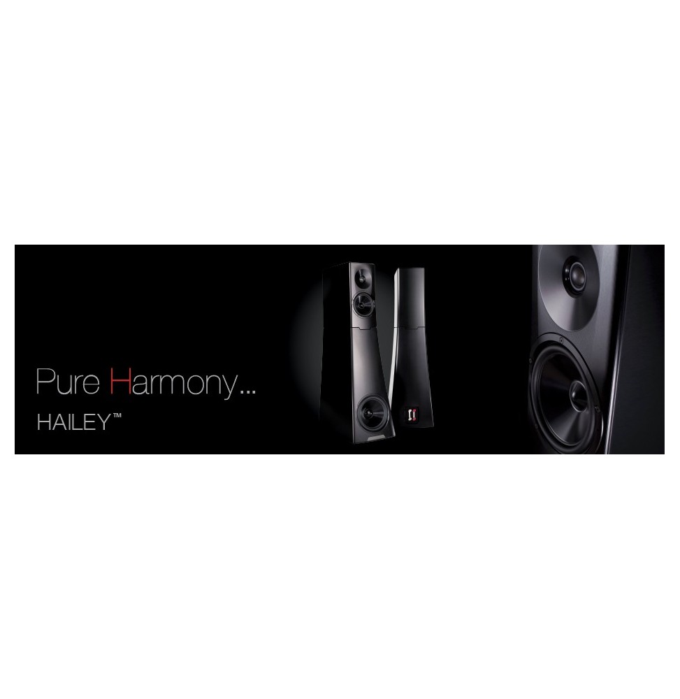 Hailey 2.2, YG Acoustics, Lautsprecher, Standlautsprecher, Ultra High ...