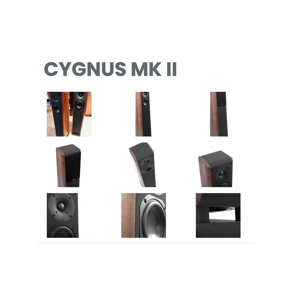 Cygnus von Chario aus Massivholz aus der Constellation MK II-Serie ist ...